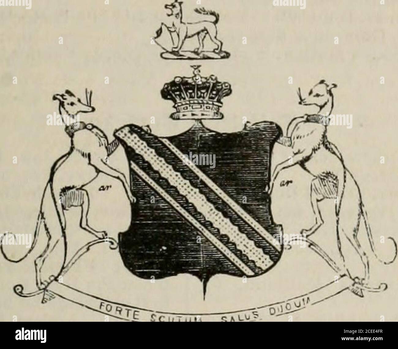 Anson albert hi-res stock photography and images - Alamy