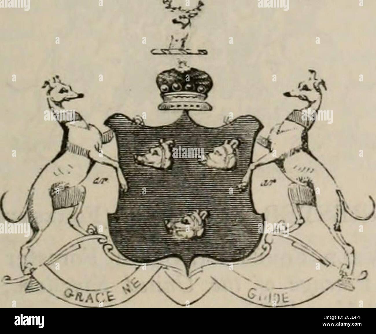 Lady emily foley hi-res stock photography and images - Alamy