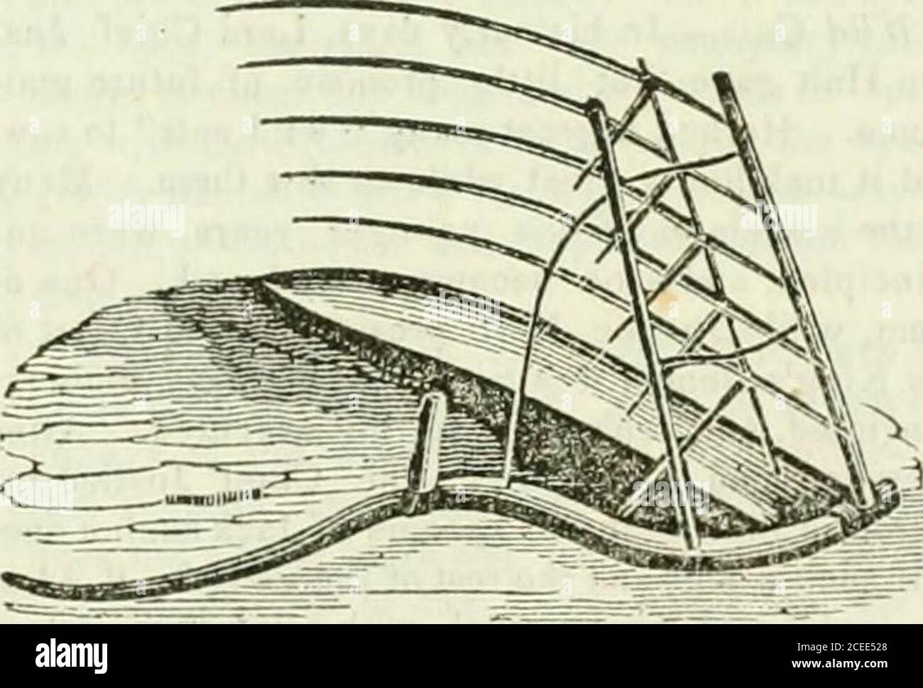 Personusing hi-res stock photography and images - Alamy