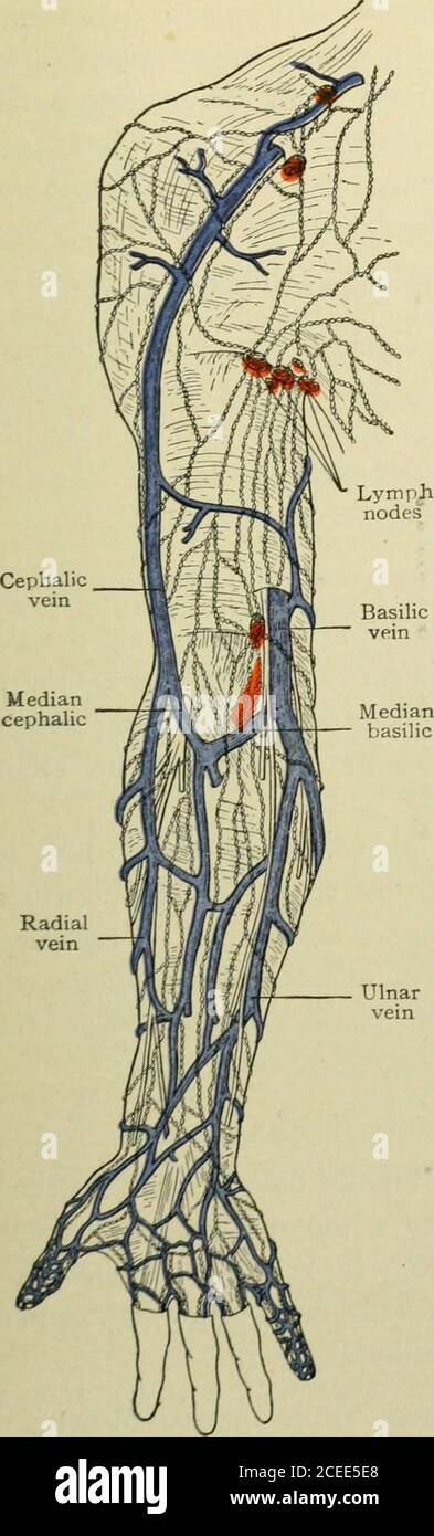 Scalp vein hi-res stock photography and images - Alamy