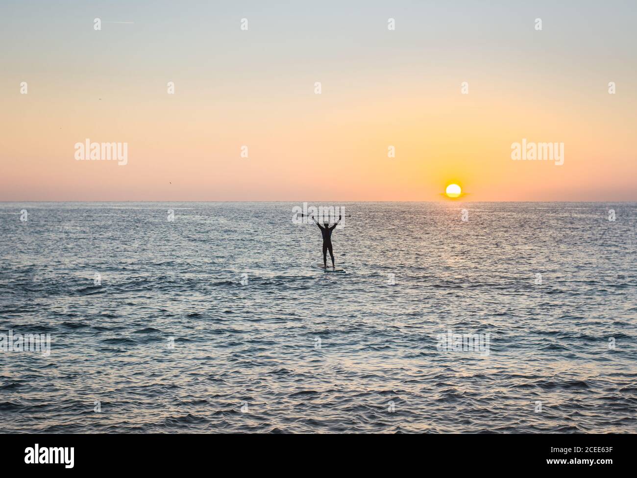 man practicing paddle surfing with neoprene in a sunrise on a ...