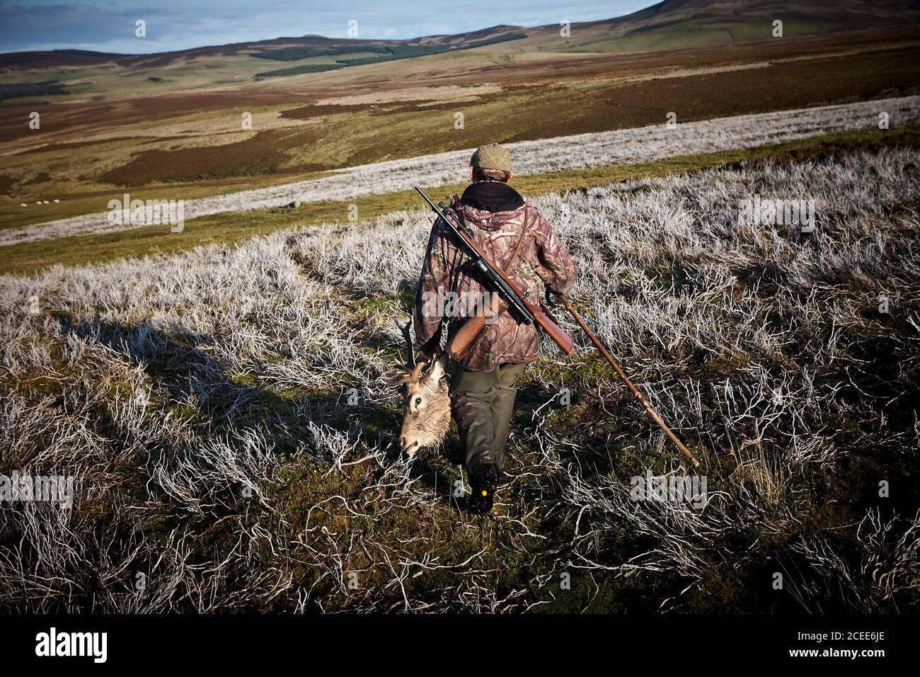 Walking in the highlands hi-res stock photography and images - Alamy