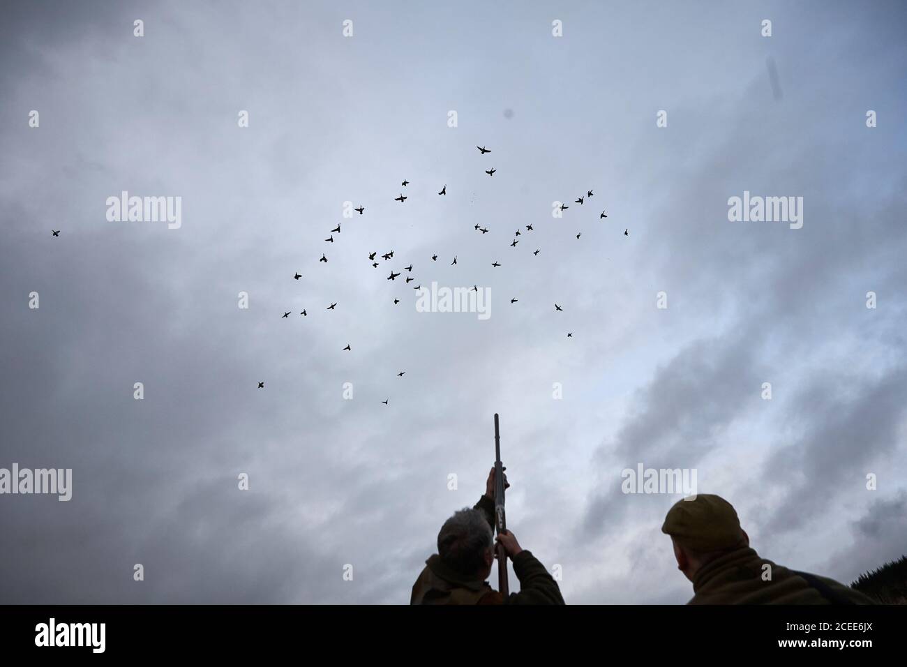 Hunter shooting up in the air at birds. Two hunters looking at the ...