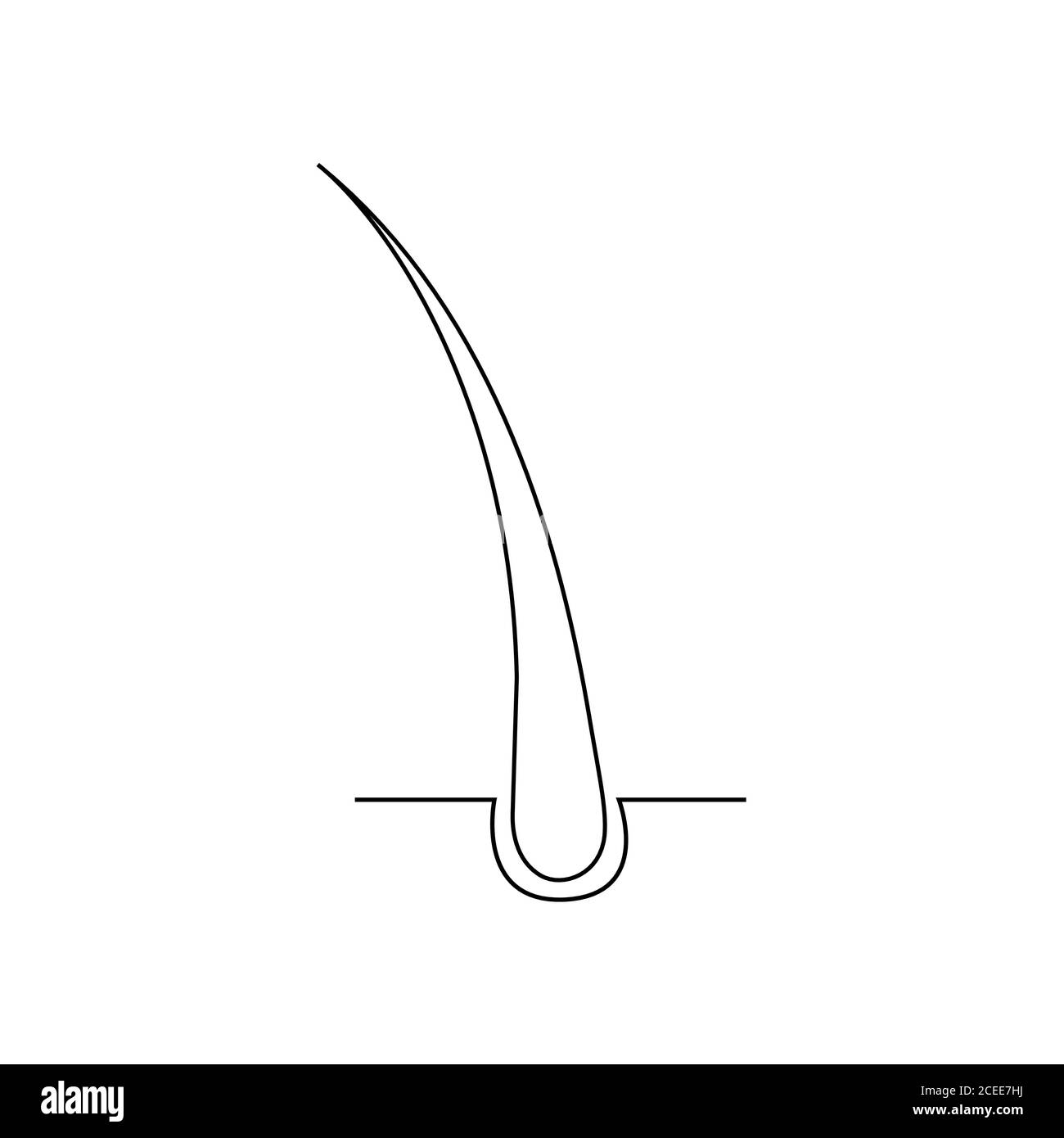 Root of hair Black and White Stock Photos & Images - Alamy