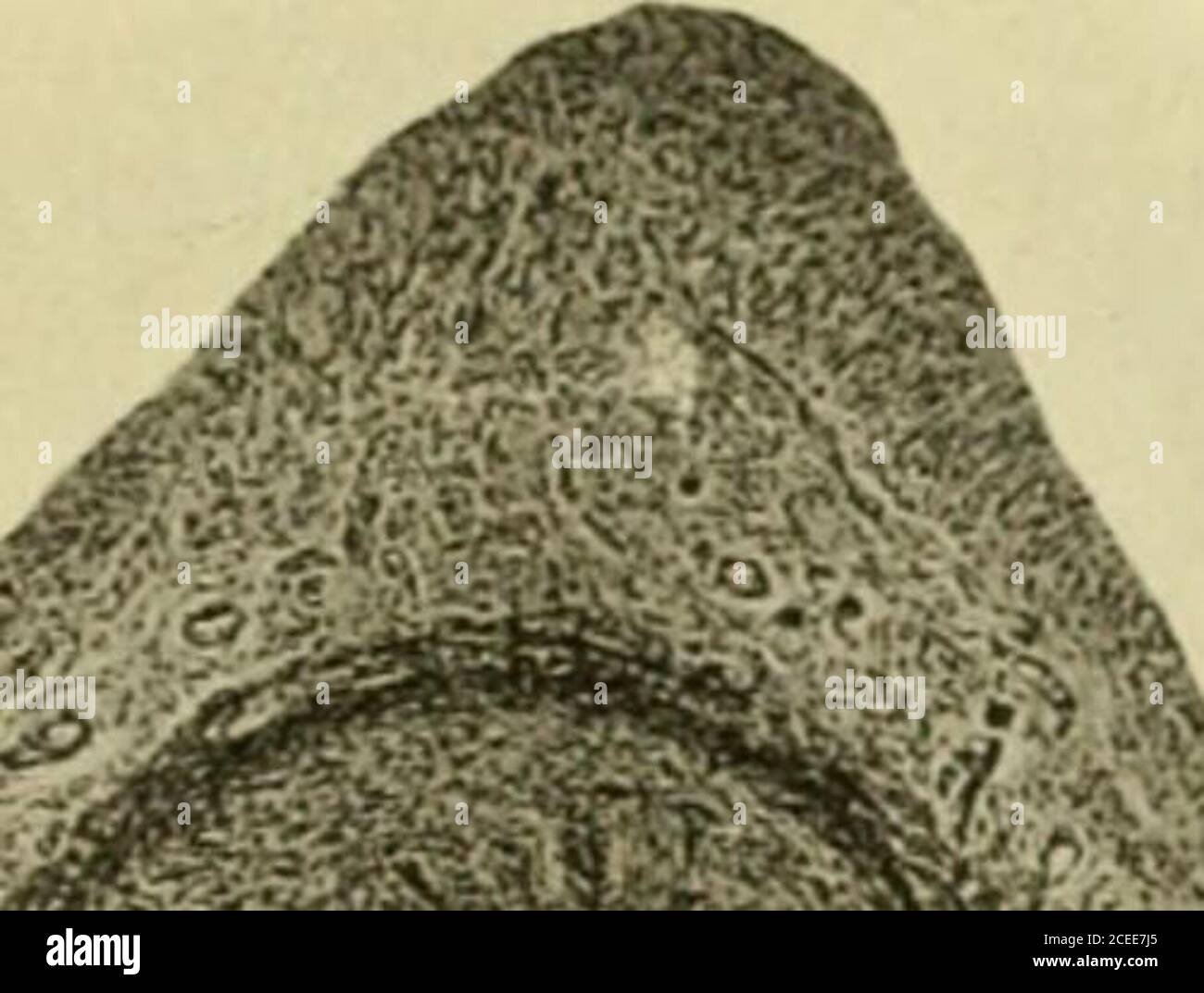 . Quarterly journal of experimental physiology and cognate medical ...
