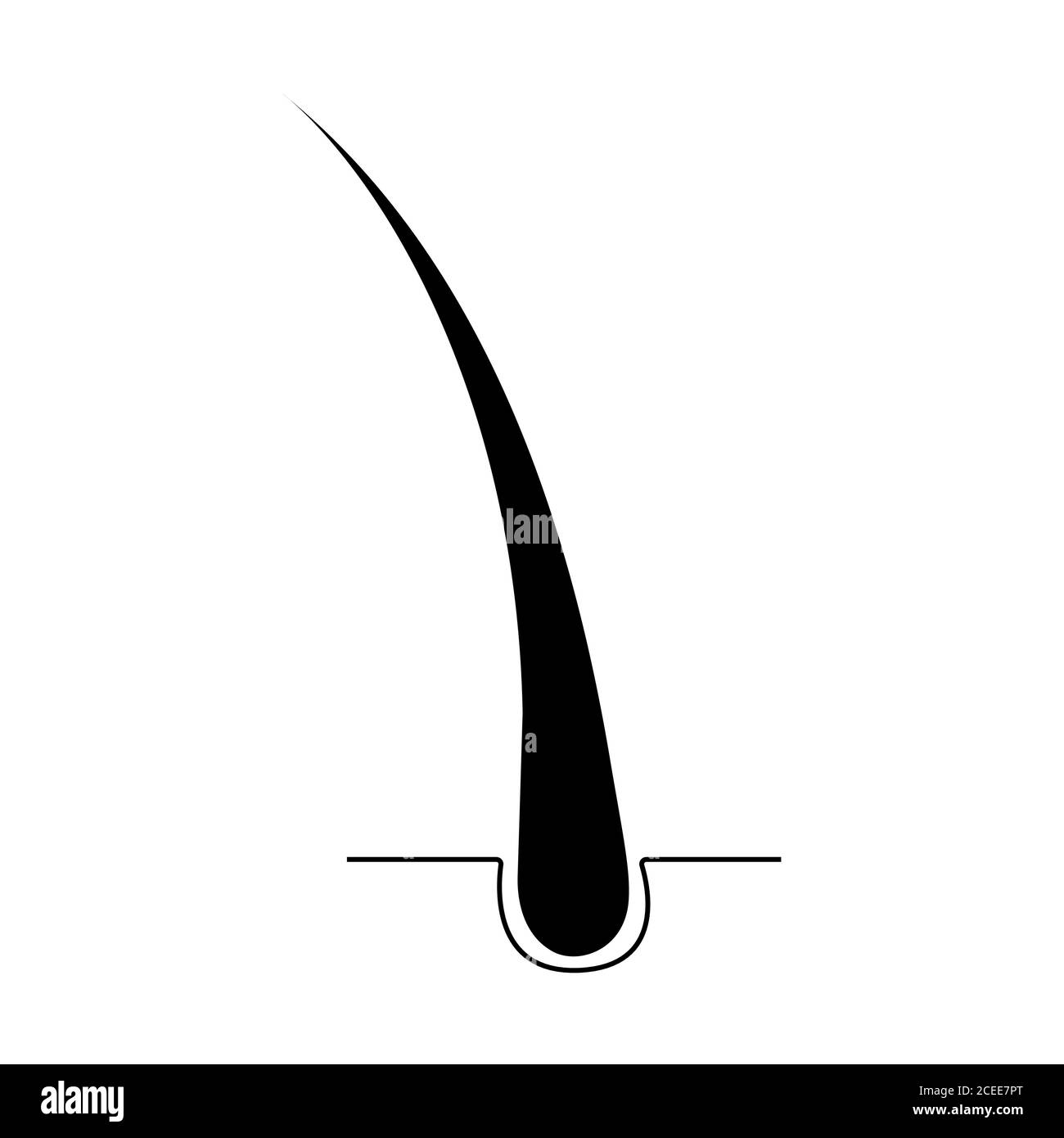 Hair Strand Vector