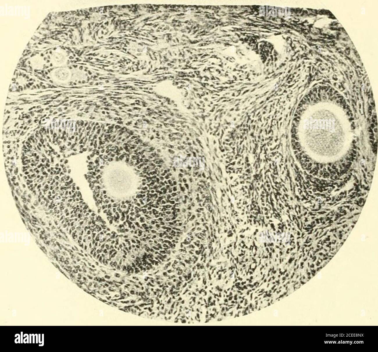. Quarterly journal of experimental physiology and cognate medical ...