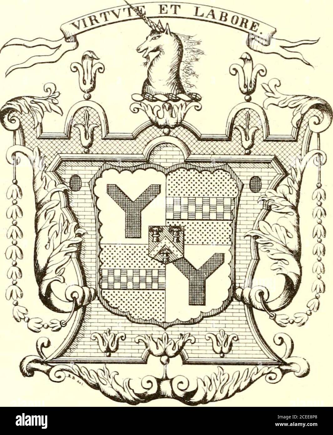 Nu s army hi-res stock photography and images - Alamy