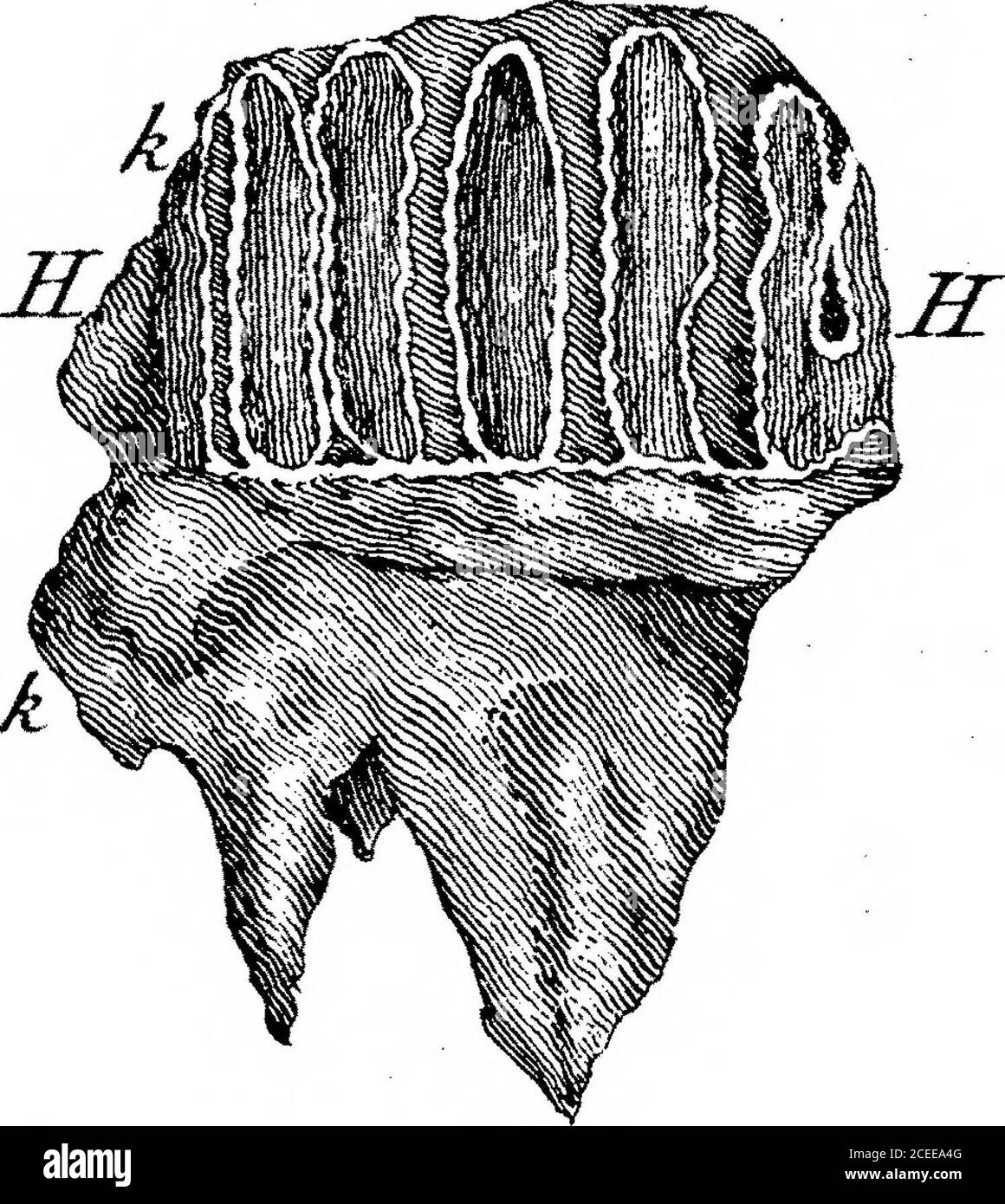 State grace Black and White Stock Photos & Images - Alamy