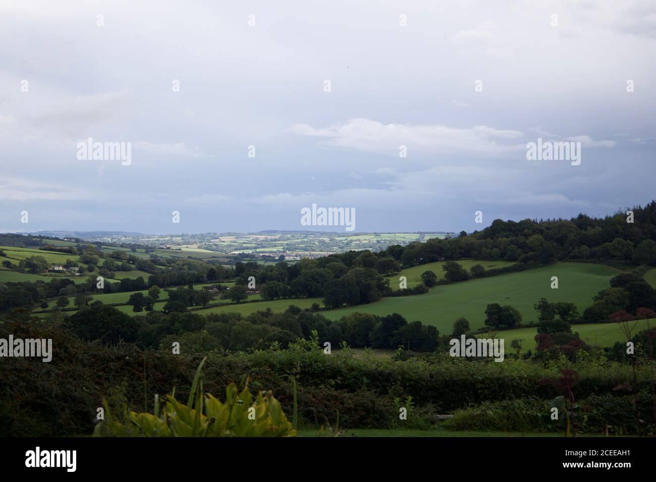 Green hills devon hi-res stock photography and images - Alamy