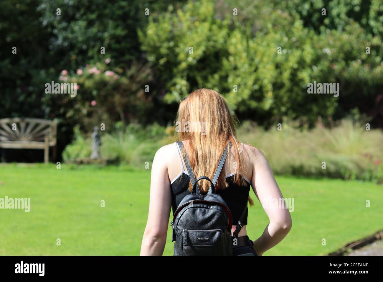 Down through trees bushes hi-res stock photography and images - Alamy