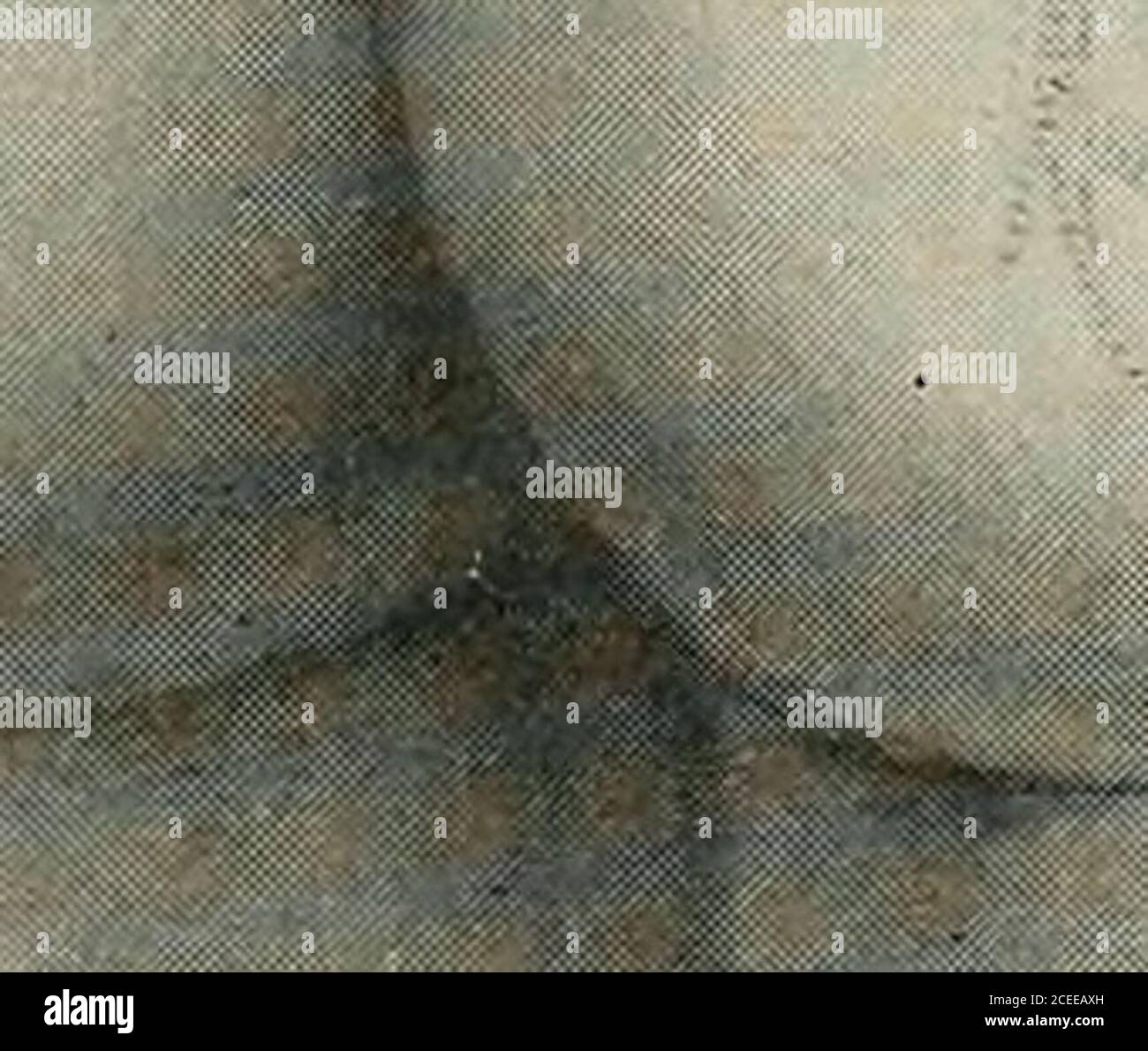 . Applied immunology : the practical application of sera and bacterins ...