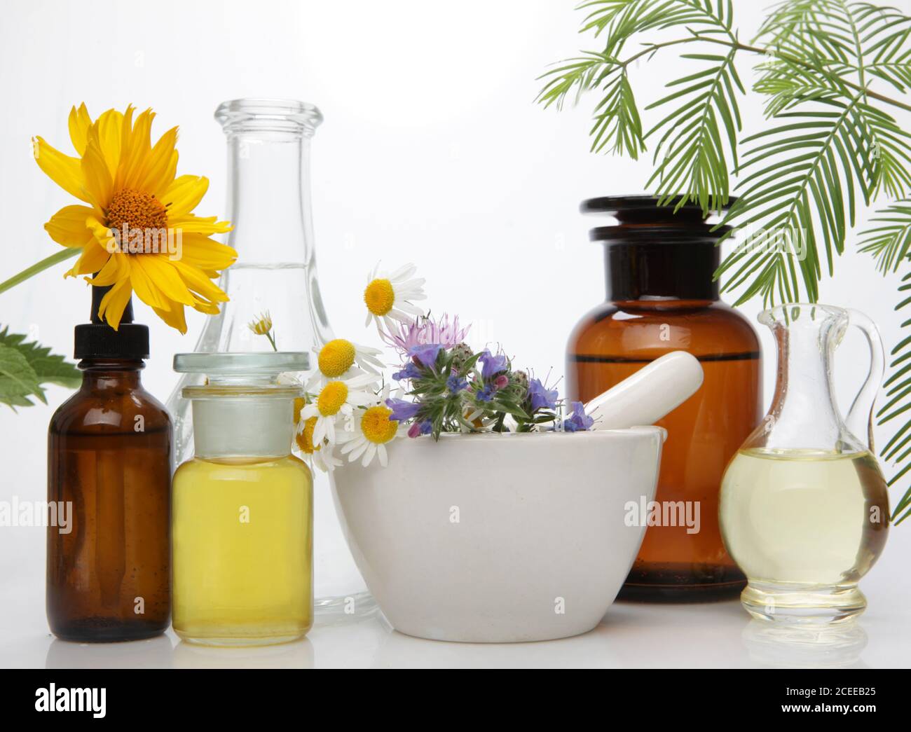 Chamomile essential oil bottles hi-res stock photography and images - Alamy