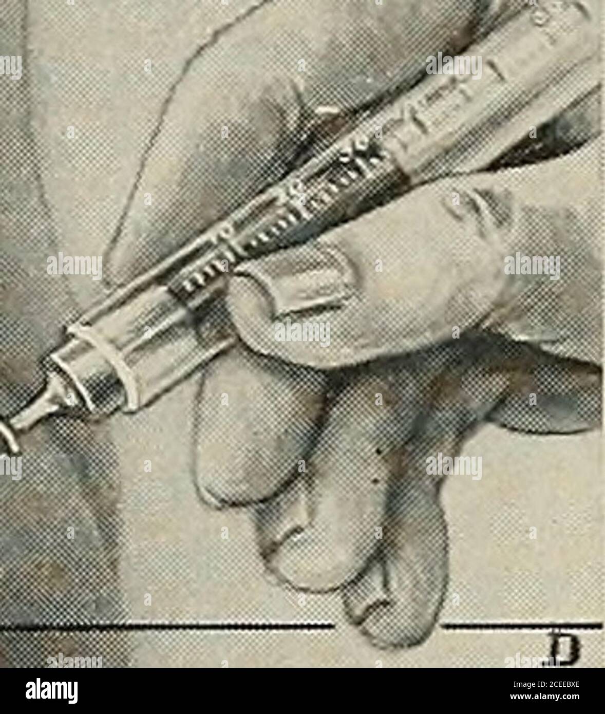 . Applied immunology : the practical application of sera and bacterins ...
