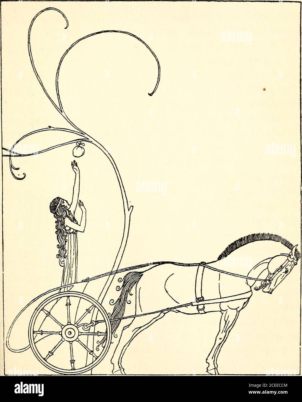 Aidoneus hi-res stock photography and images - Alamy