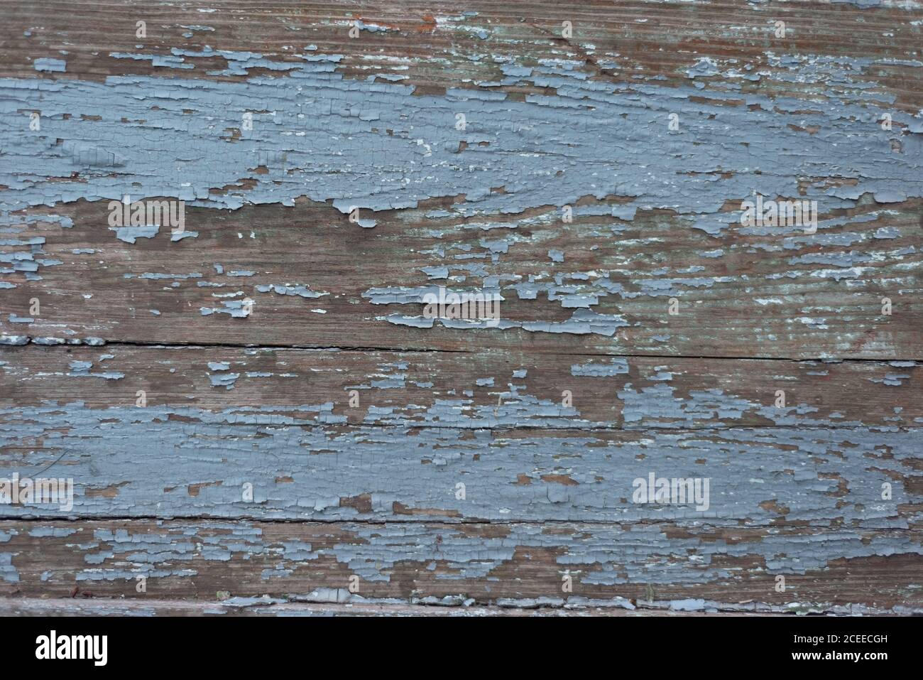 old blue paint on wood texture, close up. Blank pattern, copy space ...