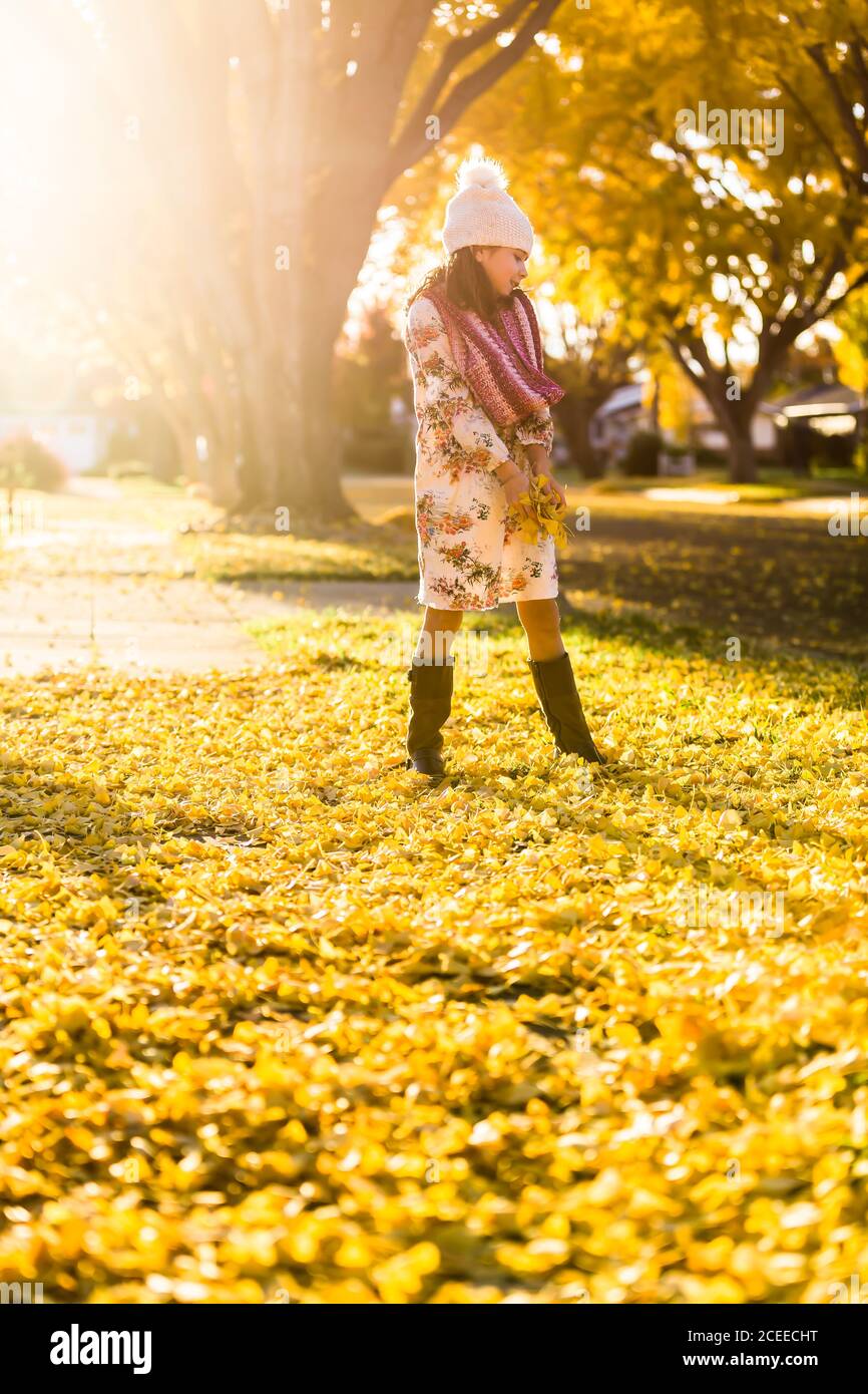 Child looking at ground leaves hi-res stock photography and images - Alamy