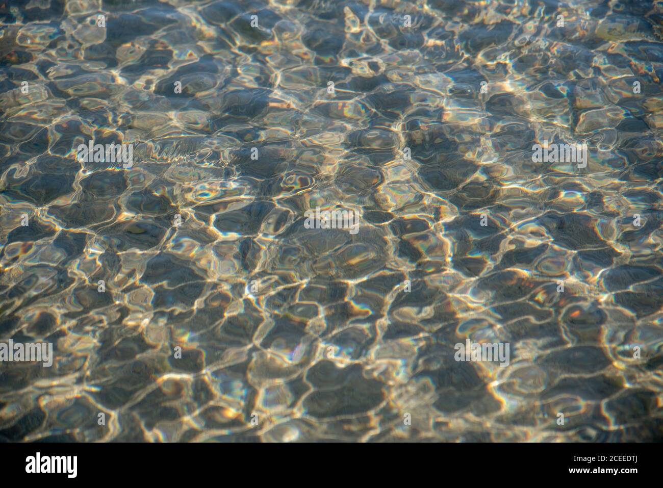 Full frame clear sea water with floating fish Stock Photo - Alamy