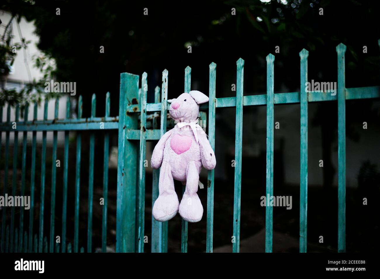 Rabbit hanging on fence hi-res stock photography and images - Alamy