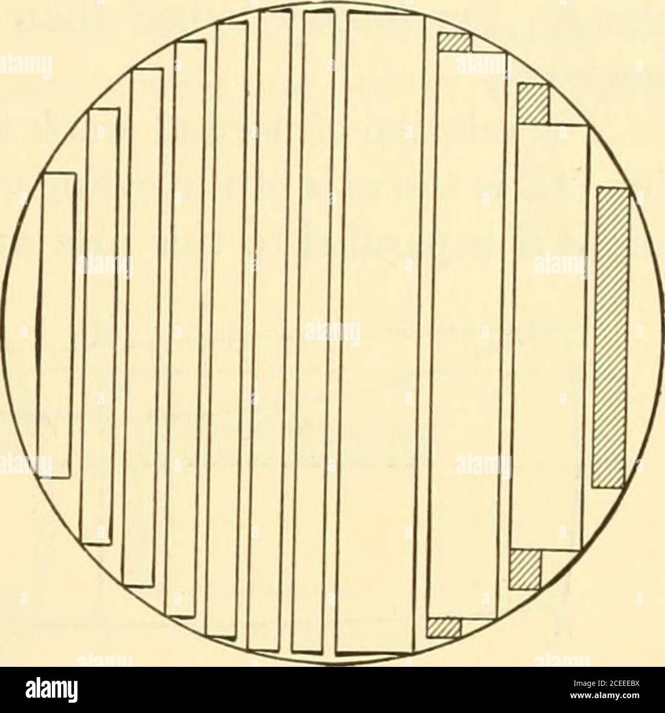 . Forest mensuration. diameterof the log multiplied by its length. But ...