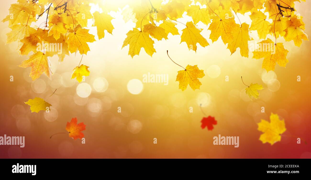Abstract yellow landscape hi-res stock photography and images - Alamy