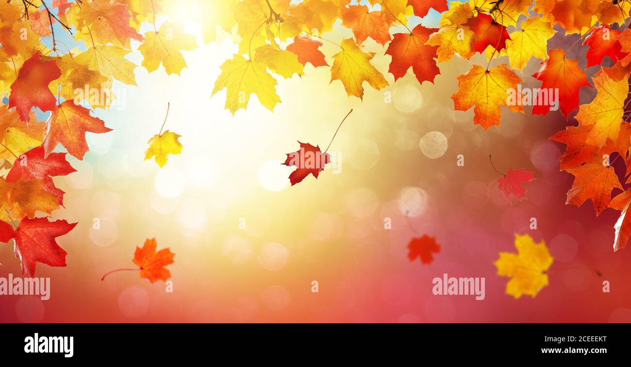 Abstract yellow landscape hi-res stock photography and images - Alamy