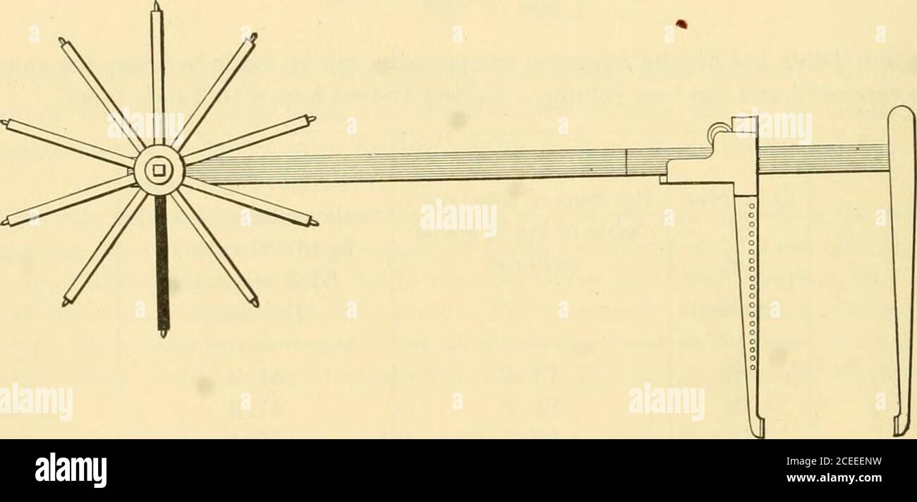 . Forest mensuration. spike, and all paintedblack except one, which is ...