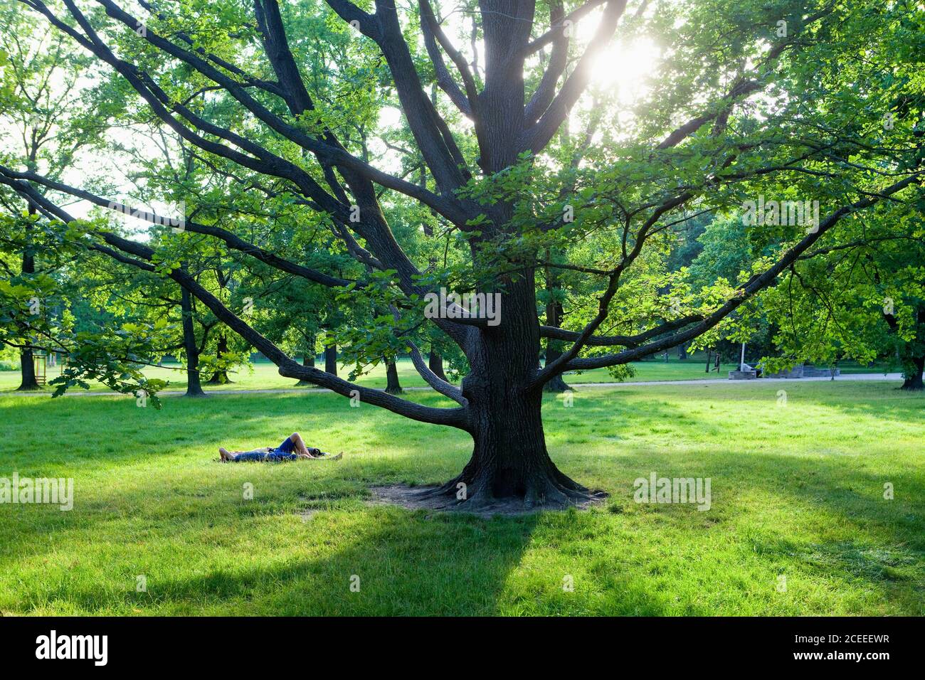 Stromovka hi-res stock photography and images - Alamy