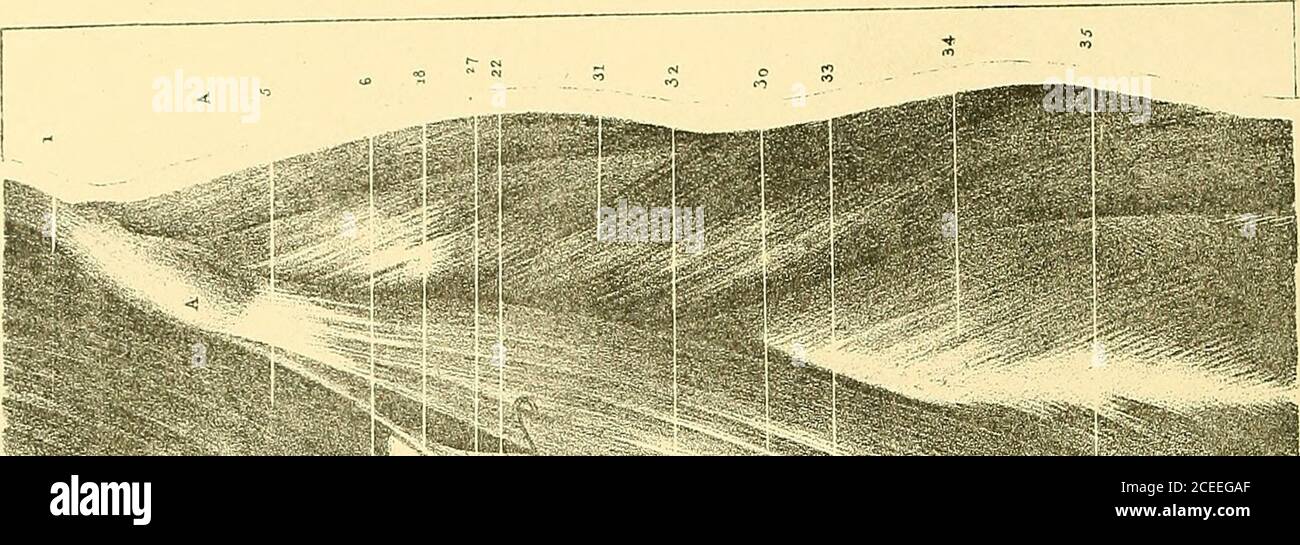 Conjoined tendons hi-res stock photography and images - Alamy