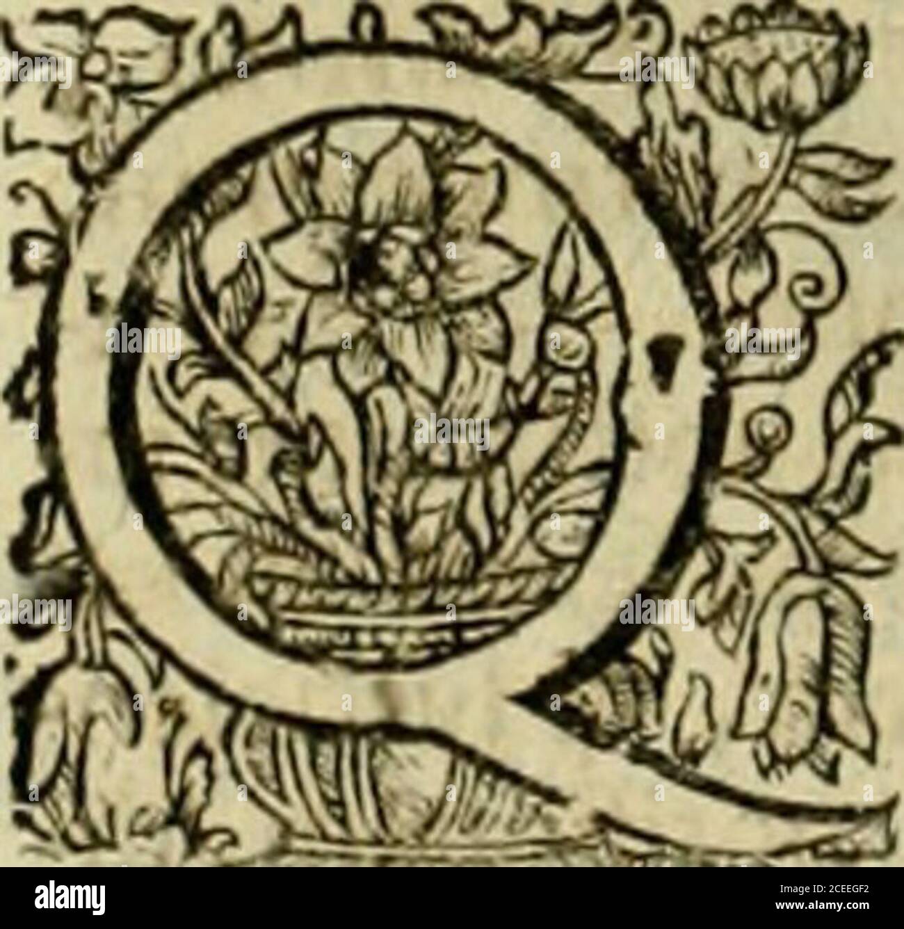 Bookidjuscanonicumuniv01rei hi-res stock photography and images - Alamy