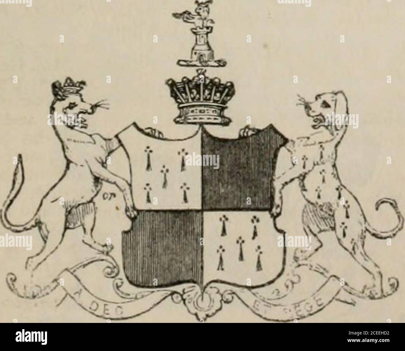 Sadleir john hi-res stock photography and images - Alamy