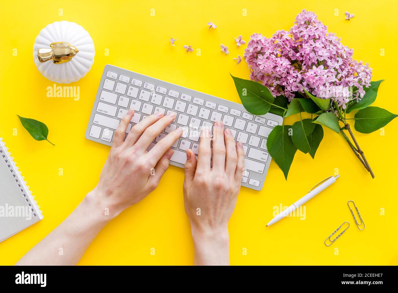 Girl typing on computer keyboard bright office space with flowers ...