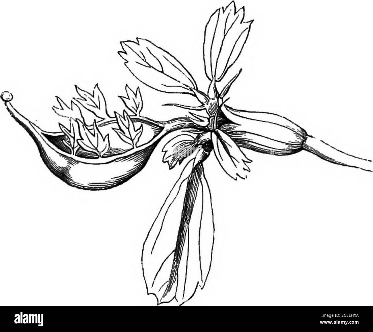 Explain transformation Cut Out Stock Images & Pictures - Alamy