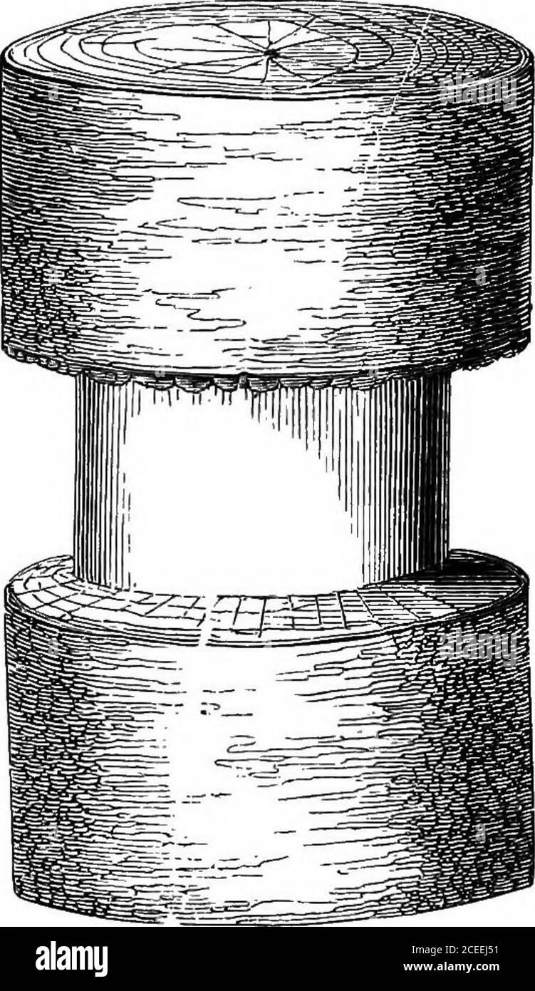 Decorticated wood Black and White Stock Photos & Images - Alamy