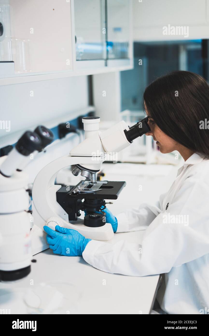 Healthcare worker using microscope hi-res stock photography and images ...