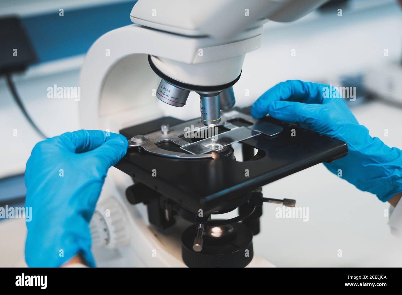 Crop view of hands of medical worker in blue rubber gloves using ...