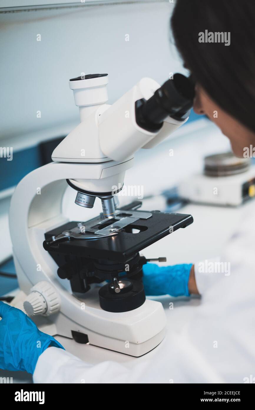 Using microscope in laboratory hi-res stock photography and images - Alamy