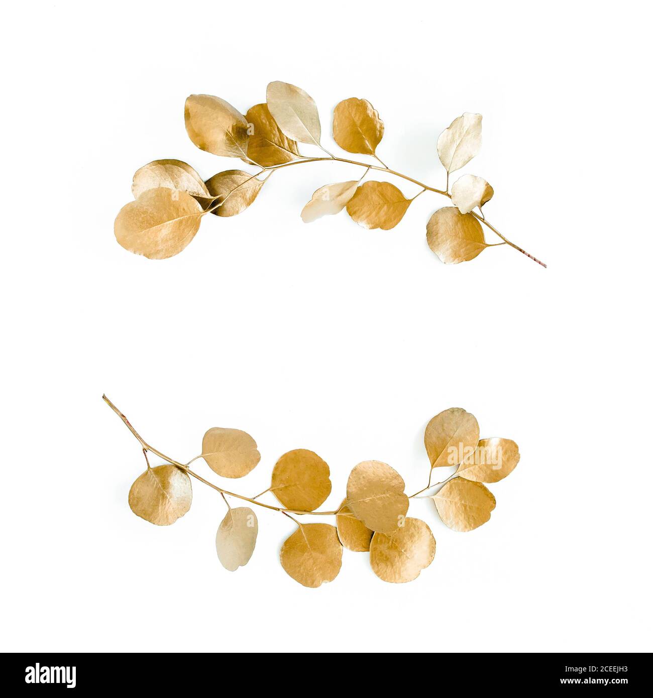 Gold round frame made of gold branches eucalyptus and leaves isolated ...