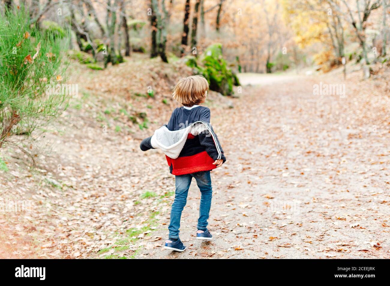 Back view of boy walking alone by a path in the countryside Stock Photo ...