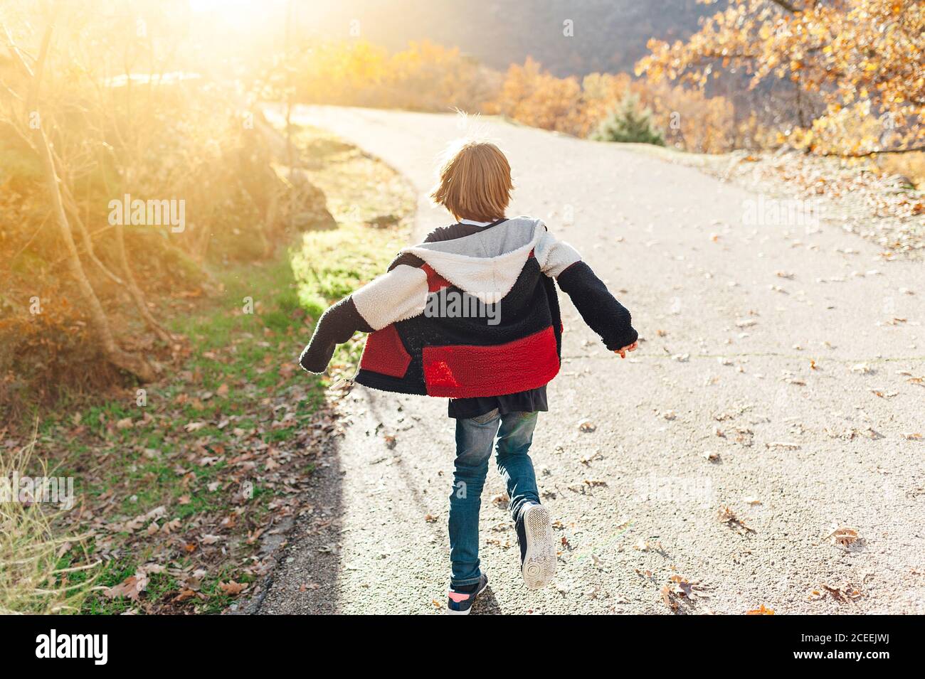 Back view of boy walking alone by a path in the countryside Stock Photo ...