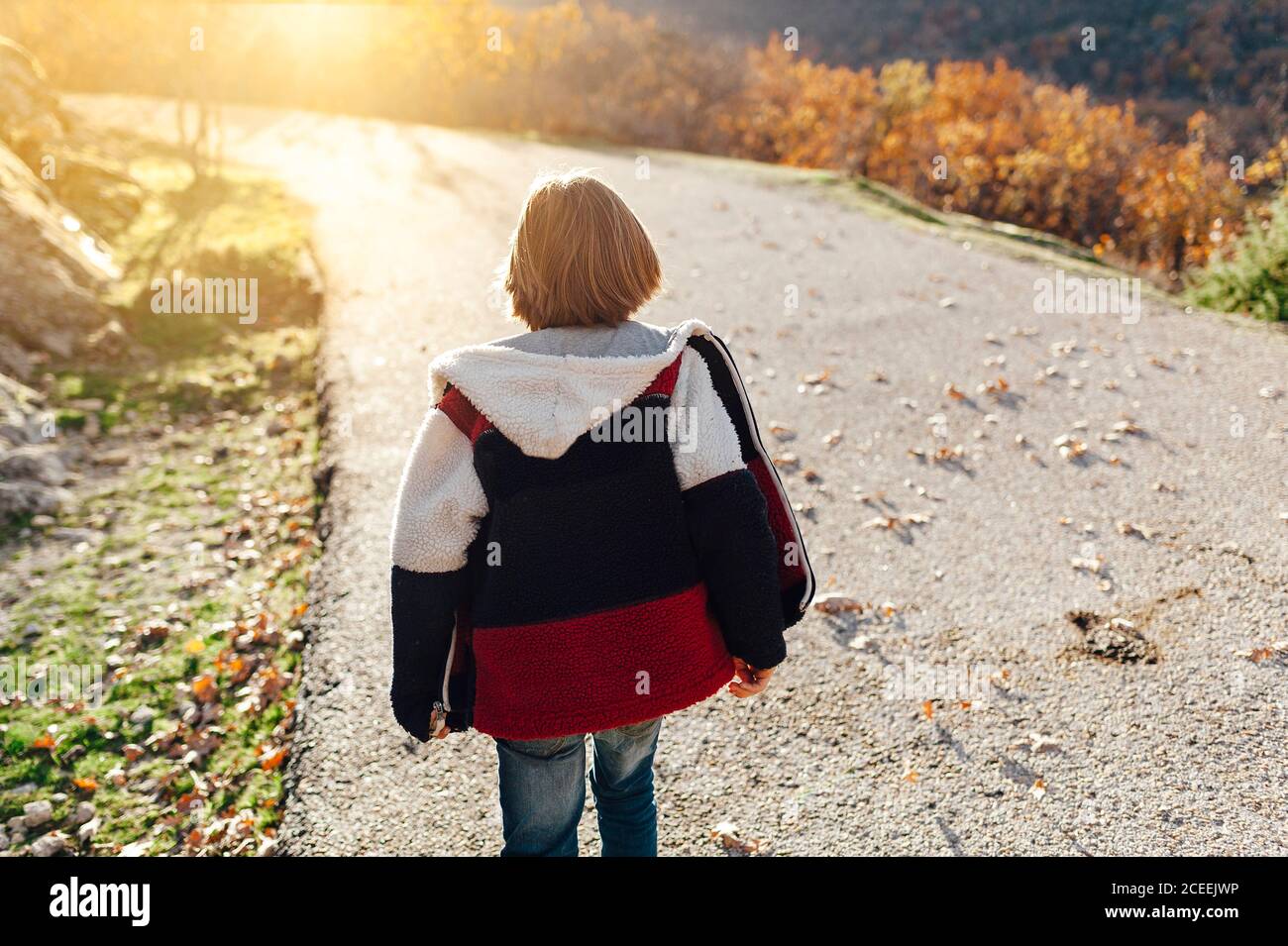 Back view of boy walking alone by a path in the countryside Stock Photo ...