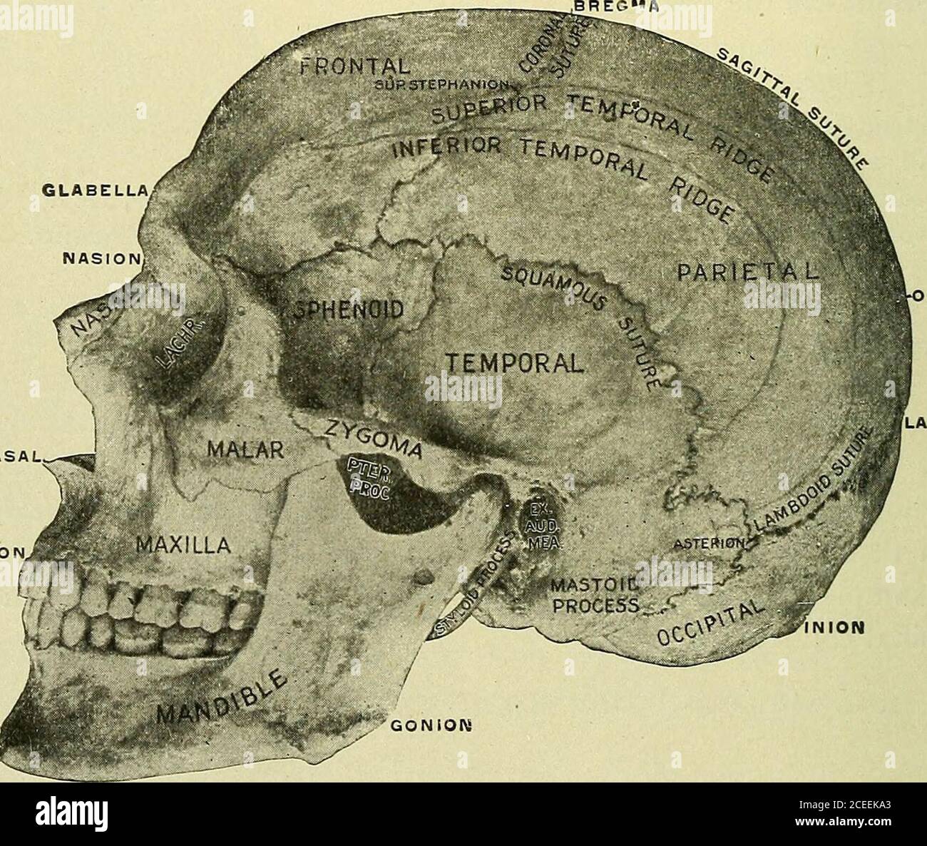 Pivot joints hi-res stock photography and images - Alamy