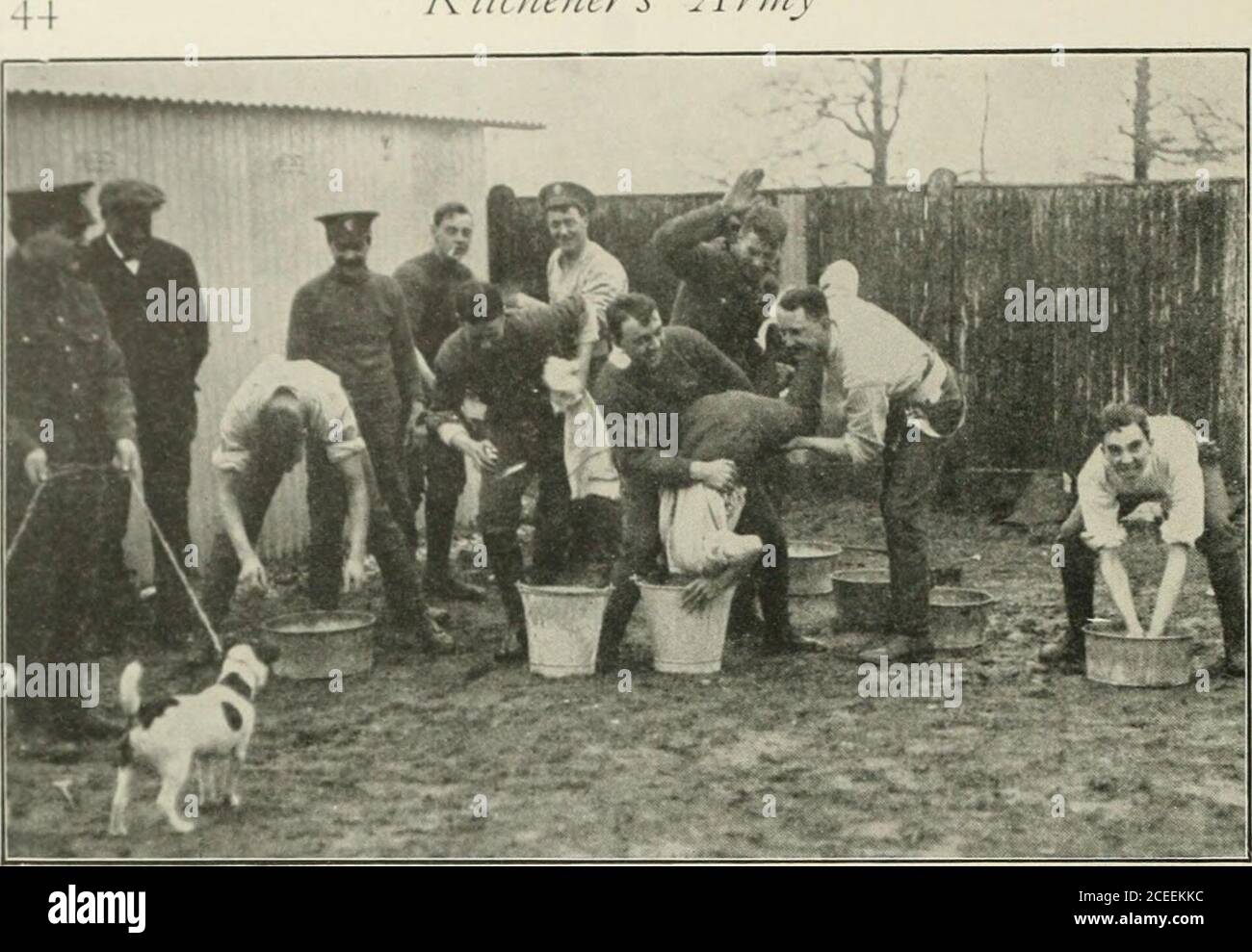 Palm iiie hi-res stock photography and images - Alamy