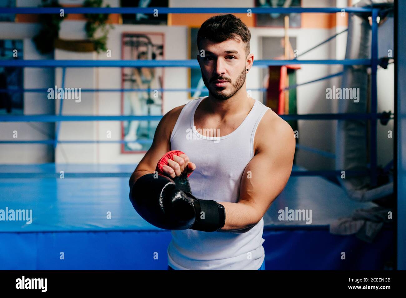 Adult fighter hi-res stock photography and images - Alamy