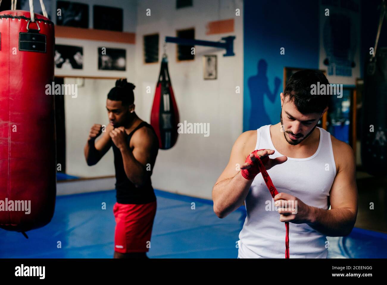 Muscular adult fighter putting on bandage on hands in boxing club Stock ...