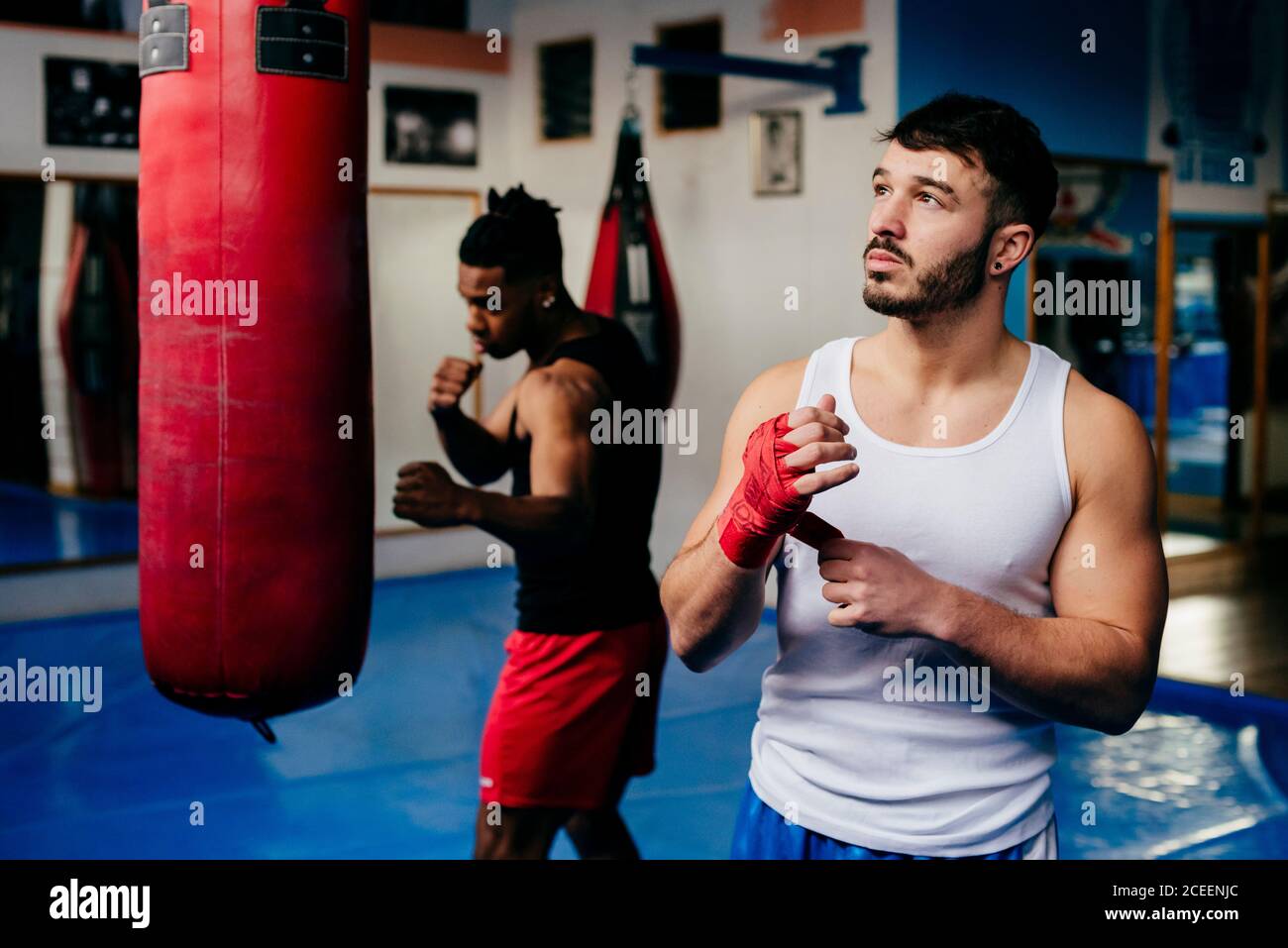 Muscular adult fighter putting on bandage on hands in boxing club Stock ...