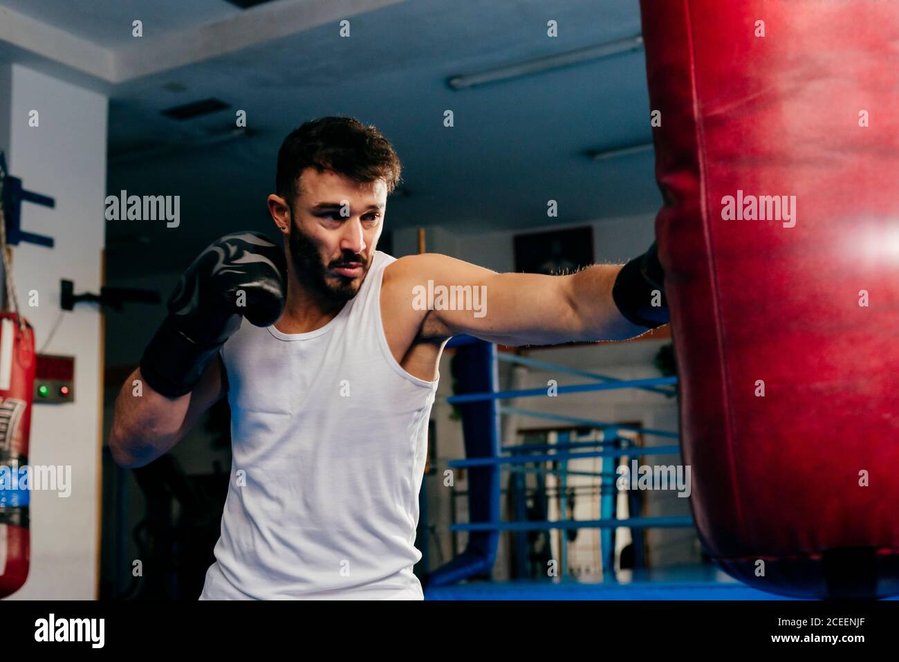 Box training man punching bag hi-res stock photography and images - Alamy
