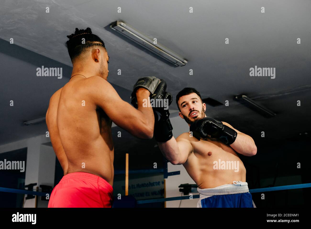 Muscular male putting on boxing hi-res stock photography and images - Alamy