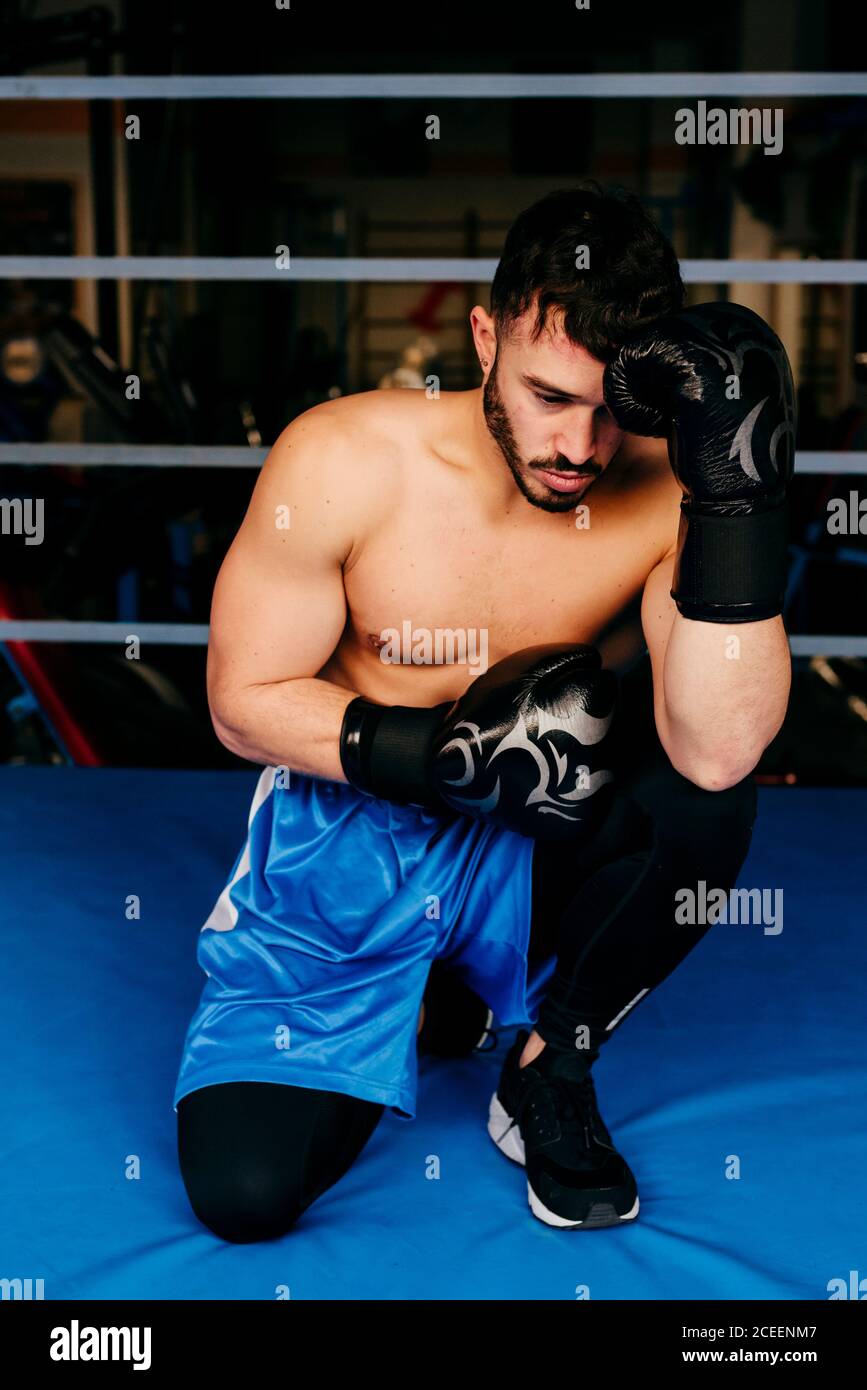 Concentrated muscular man sitting knelled and preparing to fight in ...