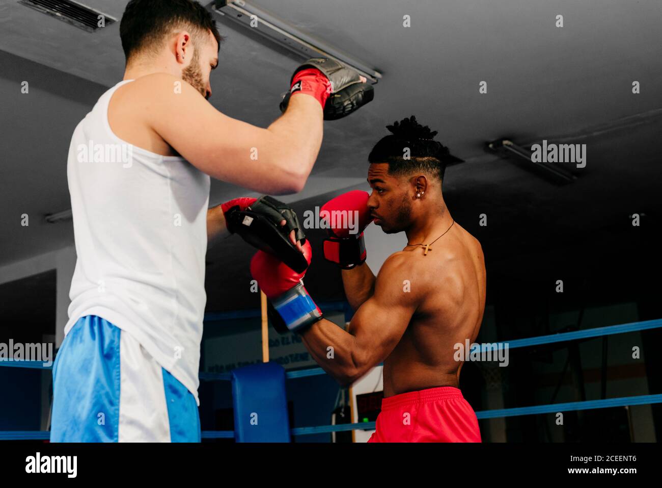 Fighters punch punching combat hi-res stock photography and images - Alamy